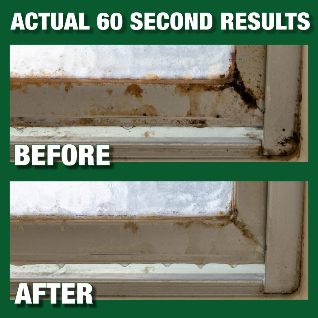 MOLD ARMOR Rapid Clean Remediation, 1 Gallon; Kills, Cleans & Prevents ...